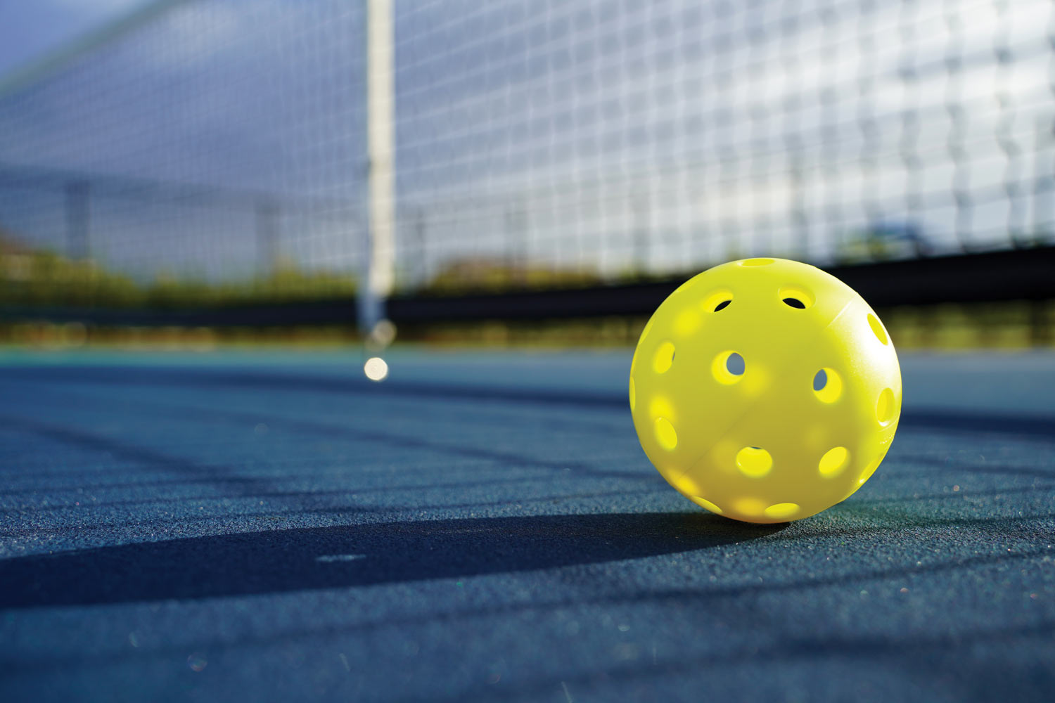 Everything You Need to Know About Pickleball - Community Rec